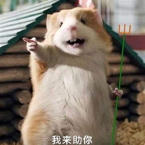 同时穿越：从十二符咒开始最新章节全文无弹窗在线阅读 Qq阅读男频历史网
