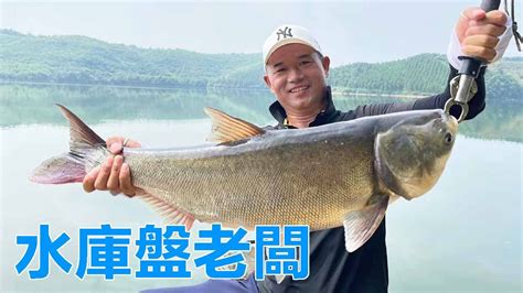 【鄧剛釣魚】水庫盤老闆被認出來，豪氣老闆300塊錢5小時隨便玩，結果忍痛割愛帶走黑山羊！ 【天元鄧剛】 Youtube