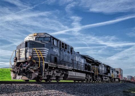 Ns Pony Greeting Card By Saga Imagery Kevin And Susanne Dickman