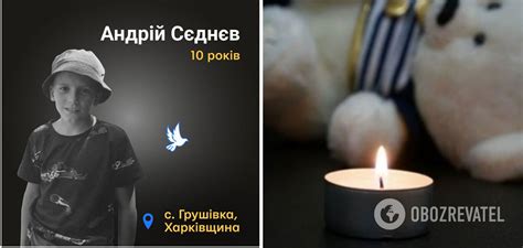 Андрій Сєднєв на Харківщині в результаті ворожого обстрілу загинув 10 річний хлопчик фото