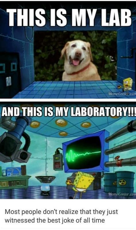 Spongebob Dump Album On Imgur Funny Spongebob Memes Funny Puns Spongebob Funny