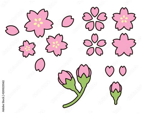 Vecteur Stock 桜の花びらつぼみのイラスト Adobe Stock