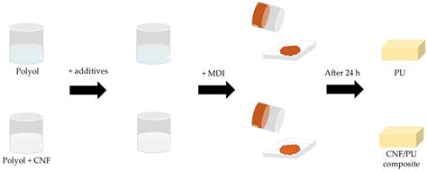 Preventing The Collapse Behavior Of Polyurethane Foams With The Addition Of Cellulose Nanofiber