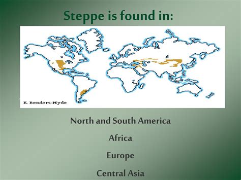 Ppt Grassland And Steppe Biome Powerpoint Presentation Free Download
