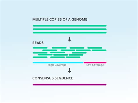 The Variables For Ngs Experiments Coverage Read Length Multiplexing