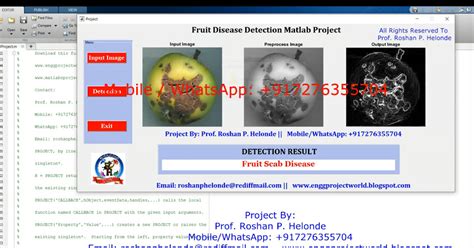 Fruit Disease Detection Using Image Processing Fruit Disease