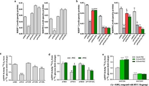 Blockade Of Proline Biosynthesis Decreased Nadp And Nadph Levels And