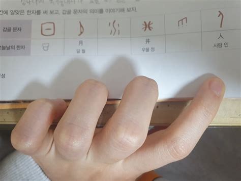 갑골문자와 한자 지식in