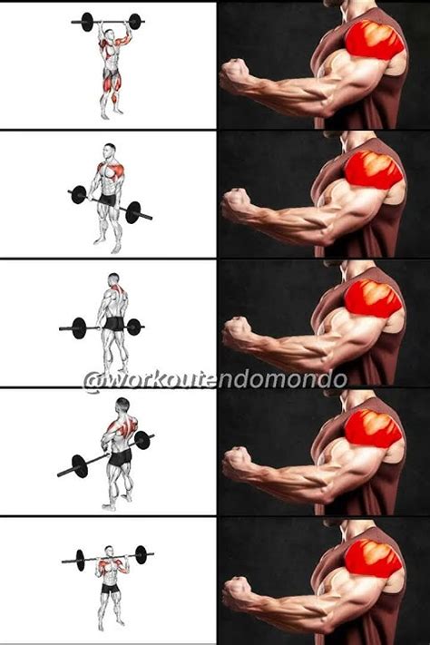 Best Barbell Shoulder Workouts For Massive Gains Shorts Youtube