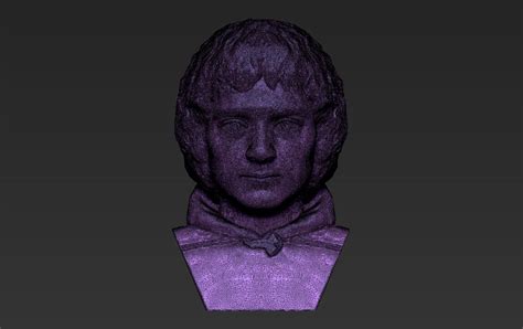 Frodo Baggins The Lord Of The Rings Bust 3d Model By Printedreality