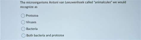 Solved The Microorganisms Antoni Van Leeuwenhoek Called
