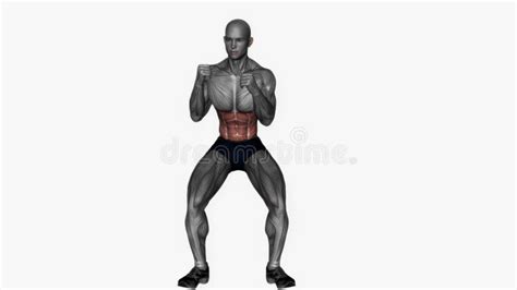 Incline Push Ups Ejercicio Ejercicio Fitness Entrenamiento Animación