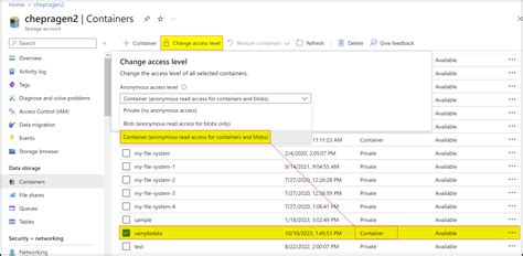 Unable To Access Container Name In Account Storage Account Using