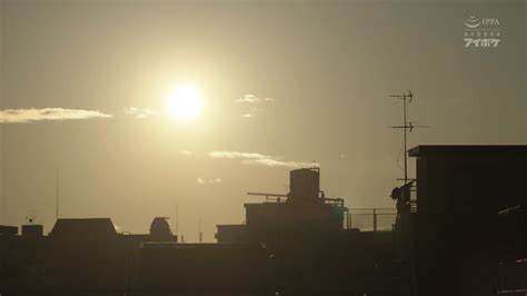 A Shoplifting Gal No Matter How Many Times She Does It She Won T Let Him Go Home A Tragedy Of