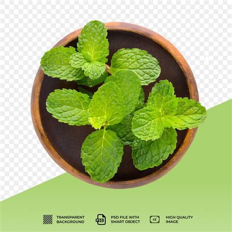 Premium PSD Psd Mint Leaves Isolated On Transparent Background