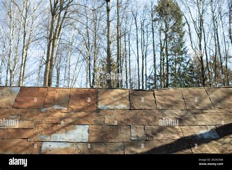 Rusty Roof Of House In Woods Old Roof Of House Metal Upholstery And