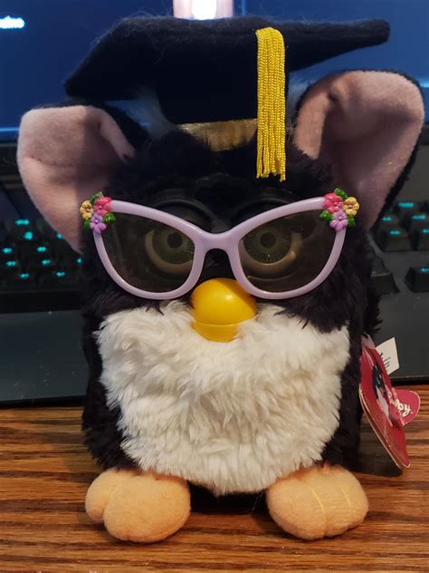 Dr Cookie Sandwich Phd R Furby