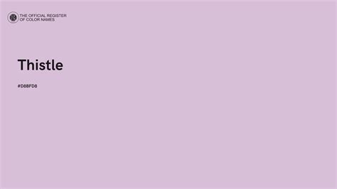 Thistle Color D8bfd8 The Official Register Of Color Names