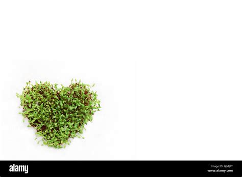 Spice Love Cut Out Stock Images And Pictures Alamy