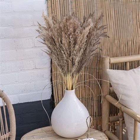 Buy HUAESIN Pcs Dried Pampas Grass Decor Pompass Grass Branches Dried Floral Arrangements For