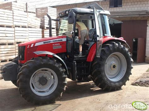 Fotografia traktor MF 5460 #167869 - Galeria rolnicza agrofoto