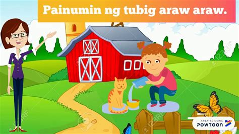 Pilandok Mga Hayop Ng Pilipinas