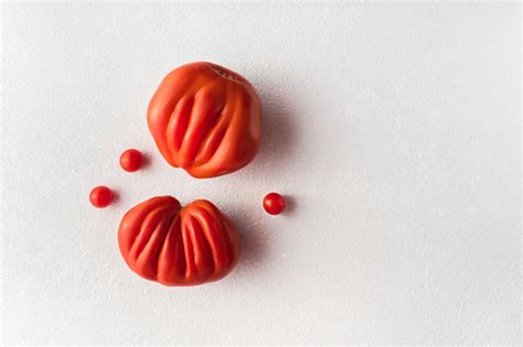 흰색 배경에 큰 맛있는 잘 익은 추한 농장 토마토 천연 건강 야채 개념 미니멀 한 식품 조성 플랫 레이 공간을 복사합니다 채소에