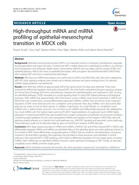 Pdf High Throughput Mrna And Mirna Profiling Of Epithelial