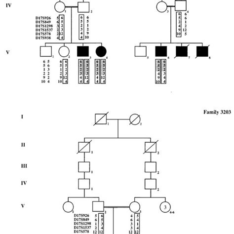 Multipoint Linkage Analysis Results The Multipoint Lod Score Of The