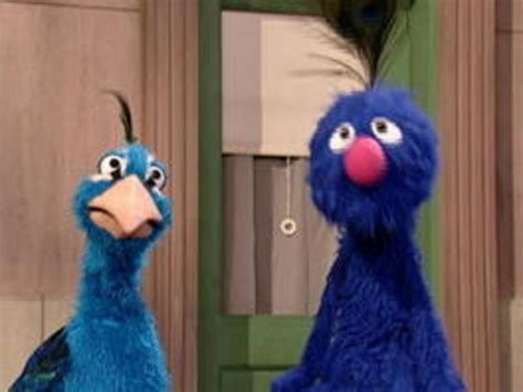 Global Grover Peacock Dance Instructional Video For Pre K Kindergarten Lesson Planet