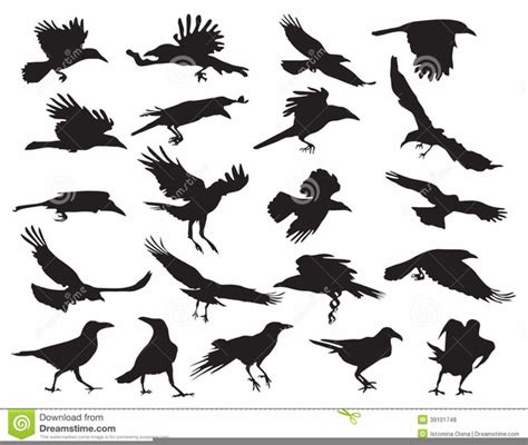 Clipart Crows Free Images At Vector Clip Art Online