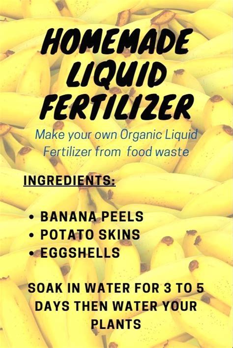 Homemade Plant Food 7 Easy Natural Fertilizer Recipes Artofit