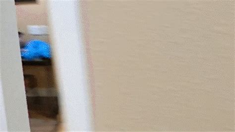 Too Far Bound Clips Sale