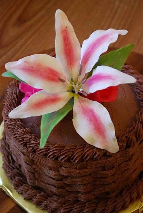 Stargazer Cake Decorated Cake By Mary Cakesdecor