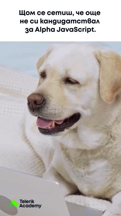 Telerik Academy On Linkedin Работиш си най спокойно и изведнъж се