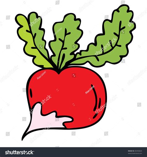 Cartoon Radish Stock Vector 80496820 Shutterstock