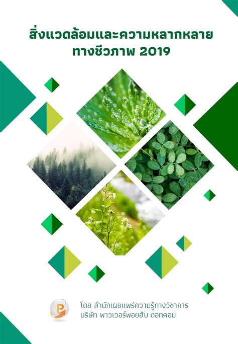 Report Cover ฟรี ปกรายงานสวยๆ 3 Powerpoint Hub