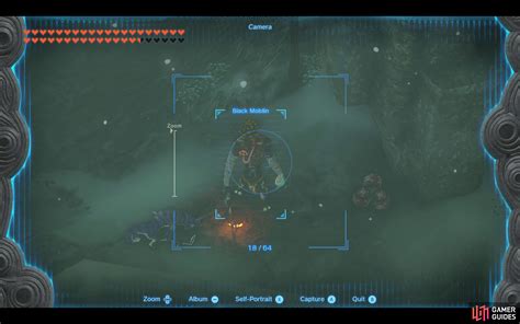 Black Moblin The Legend Of Zelda Tears Of The Kingdom Database