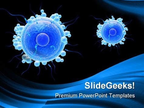Human Egg Cell Science PowerPoint Templates And PowerPoint Backgrounds PPT Images Gallery
