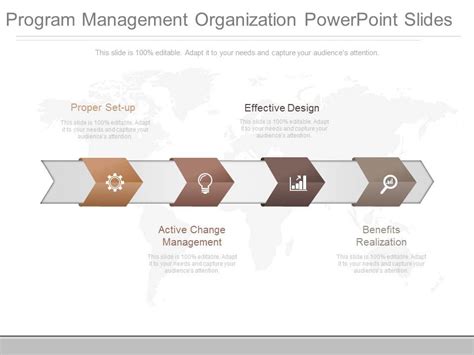 Program Management Organization Powerpoint Slides