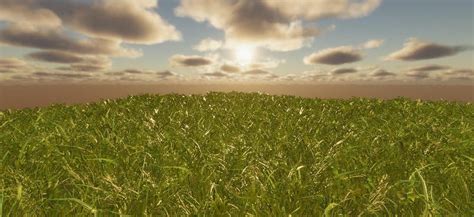 Realistic Outdoor Lighting In Unity Hdrp Lighting Canopy Procedural Worlds