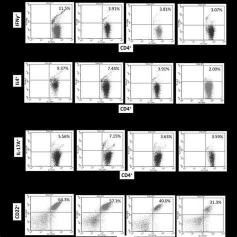 Representative Of Dot Plot Analysis From Flow Cytometer A Th1 Cells