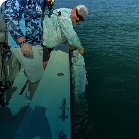 Six Chuter Charters Marco Island Florida