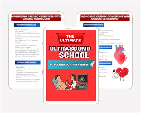 Echocardiography Study Guide Cardiac Sonography Notes Digital