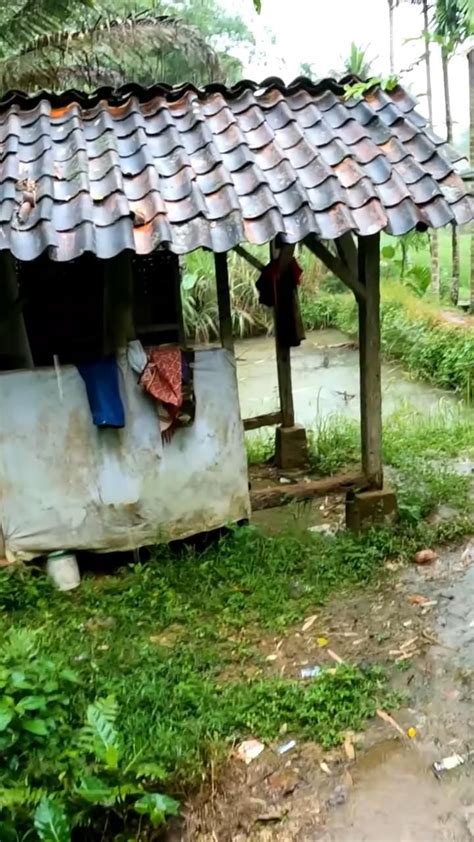 Bikin Syahdu Suasana Pedesaan Saat Hujan Turun Di Kampung Tasikmalaya