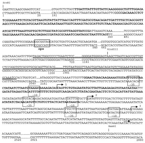 Location Of The H Ns Binding Sites Within The Nucleotide Sequence Of Download Scientific
