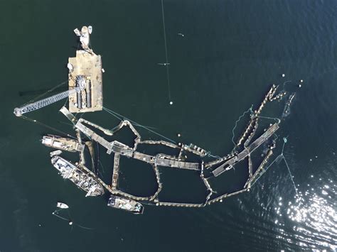 Washington Bans Fish Farming Net Pens Citing Salmon Threat The Columbian