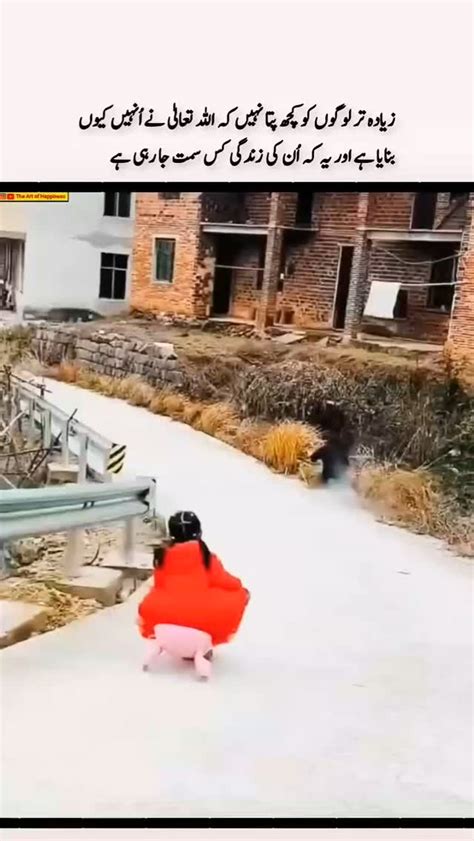 Instagram Video By Aiman Khan • Dec 16 2024 At 1039 Am