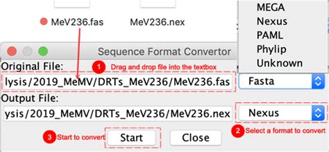 What Is Best Tool To Convert A File To Nexus Researchgate