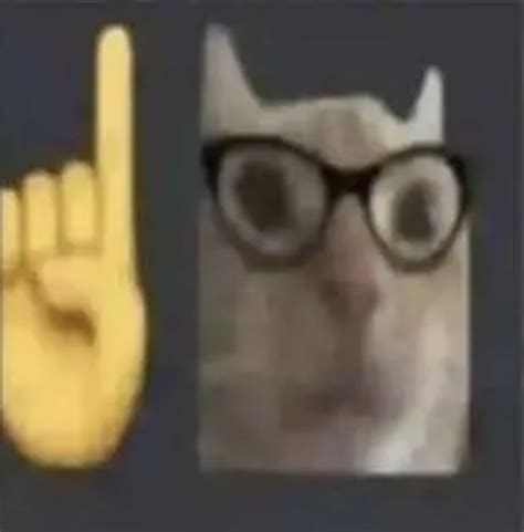 Actually Cat Memes Silly Cats Memes